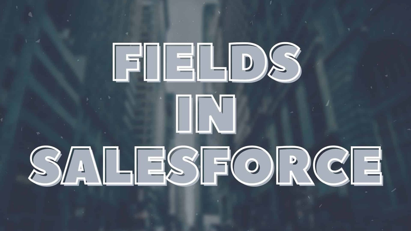 Fields In Salesforce