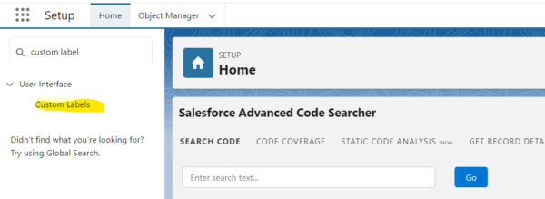 Custom Labels in Salesforce : Complete Step by Step guide on Custom labels
