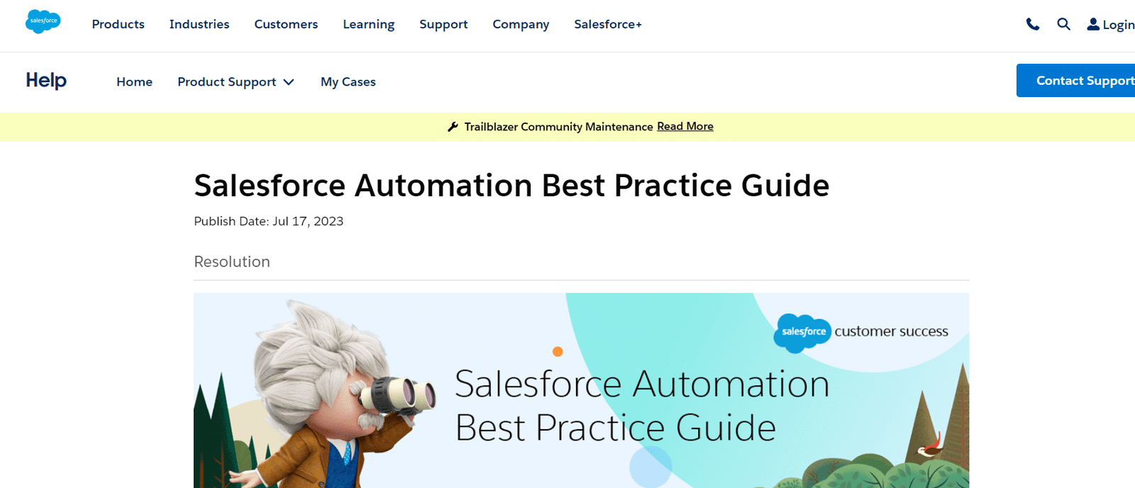 Salesforce Automation A Year Of Transformative Growth