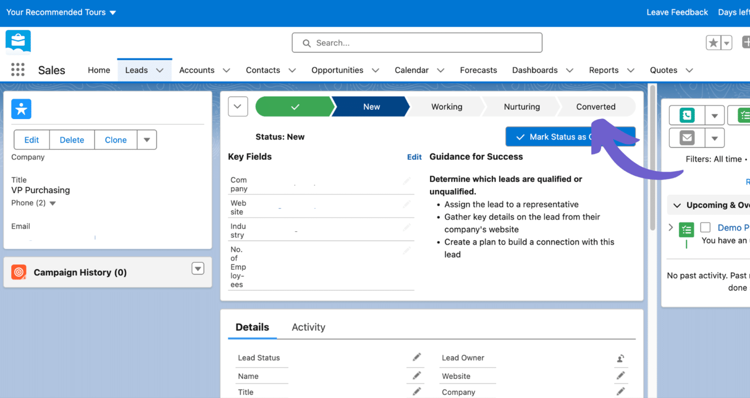 Salesforce Lead Conversion Mapping A Comprehensive Guide