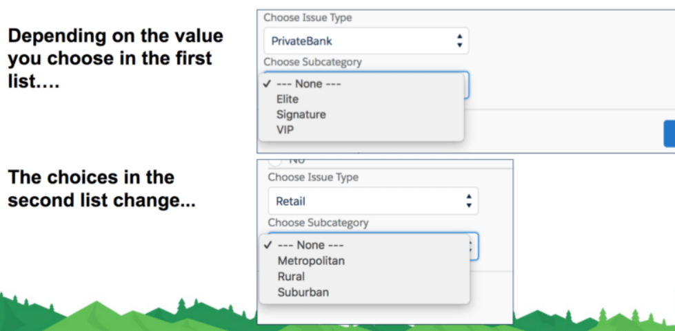 What Is A Dependent Picklist In Salesforce